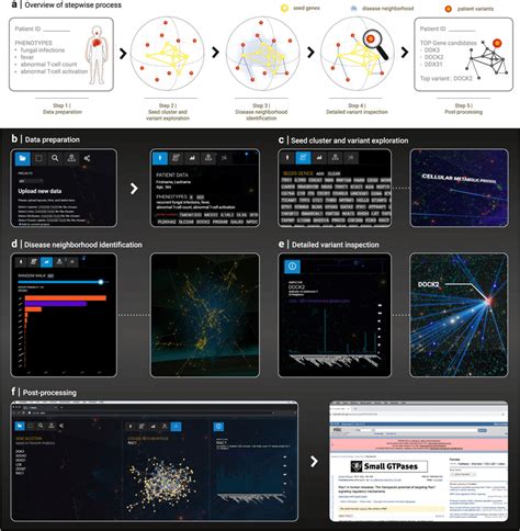 using the platform for prioritizing genomic variants of a rare disease
