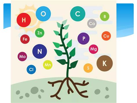 Perform Estimation And Calculation Pptx