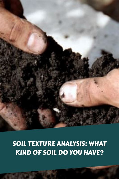 Soil Texture Analysis What Kind Of Soil Do You Have