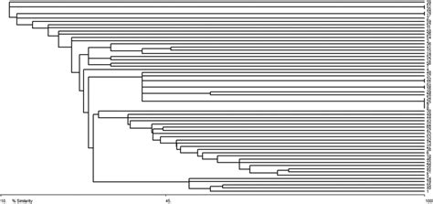 Macrofungal Assemblages Of Shorea Robusta Forest Ecosystem In Lateritic