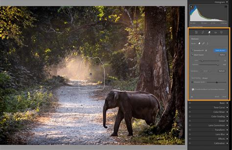 adobe s ai powered generative remove feature in lightroom erases