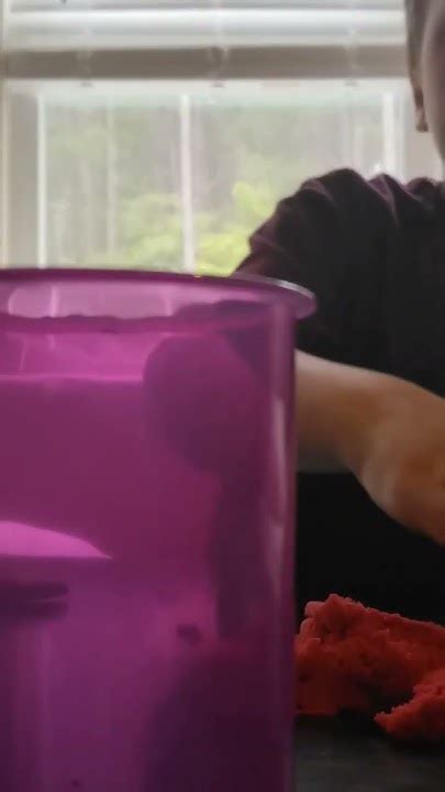 Bread Sandwhich Anyone Youtube