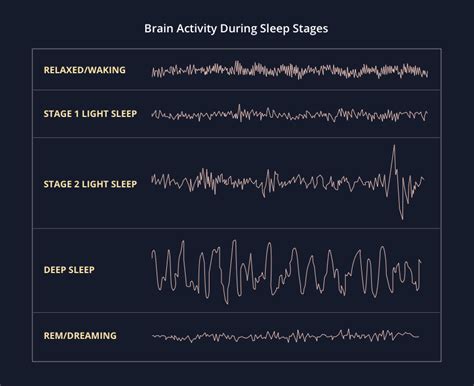 What Are Sleep Cycles Learn About Rem Deep And Light Sleep