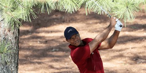 Tiger Woods Seemingly Shakes Trees Hand At The Masters Photos Comic