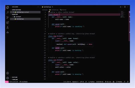 Github Ansub Enchant A Vs Code Theme