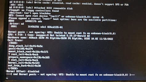 Help Kernel Panic And Idk Why Runraid