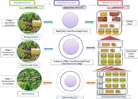Secondary Sector Activities