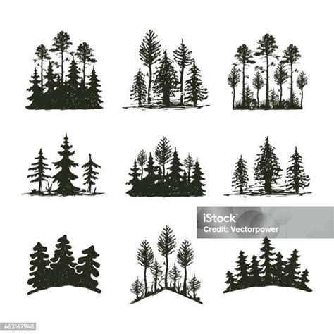 나무 야외 여행 검은 실루엣 침 천연 배지 가문비나무 분기 삼나무 소나무 상단과 식물 잎 추상 줄기 그리기 벡터 일러스트 레이