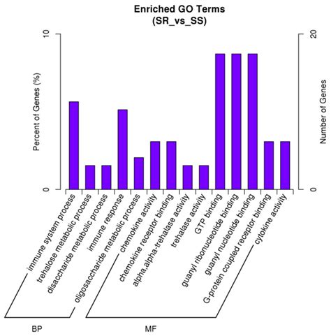 gene ontology go enrichment the x axis shows the second level go