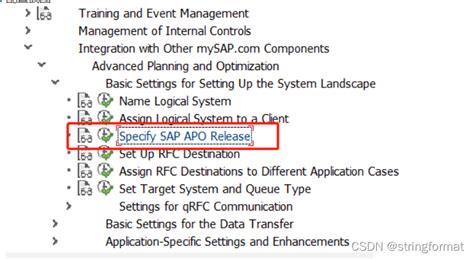 Ecc中的 Apo配置sap Cfm1集成模型stringformat的博客 Csdn博客