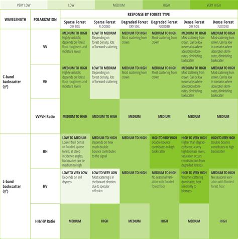 Sar Backscatter To Monitor Under Tree Cover Space4water Portal
