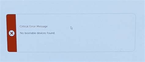No Bootable Devices Found