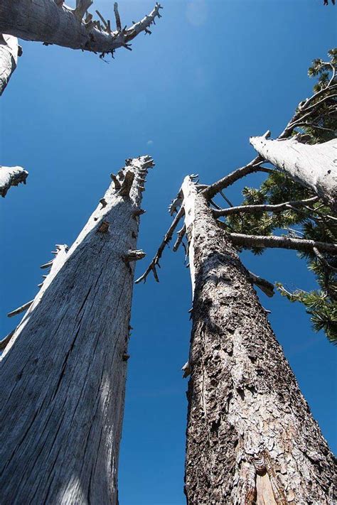 Creepy Stories You Havent Heard About Crater Lake