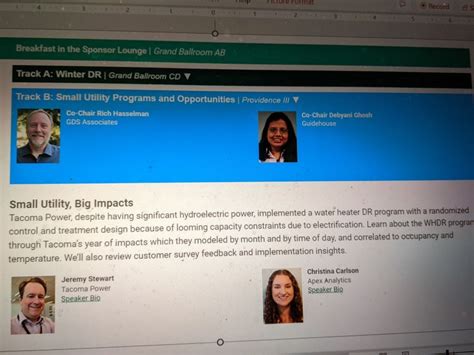 co chairing session on small utility load management debyani ghosh