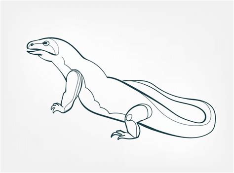 Desert Monitor Lizard Over Royalty Free Licensable Stock Illustrations Drawings