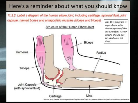 Annotated Sketch At Explore Collection Of Annotated Sketch Annotated Sketch At Explore Collection Of Annotated Sketch