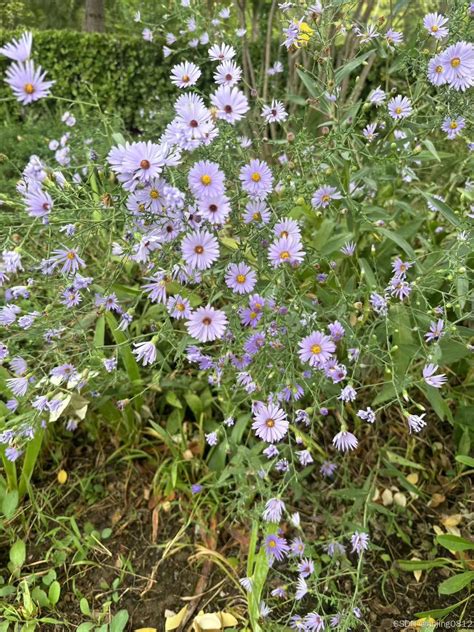 Csdn新客户第一篇随笔 Csdn博客 Csdn新客户第一篇随笔 Csdn博客