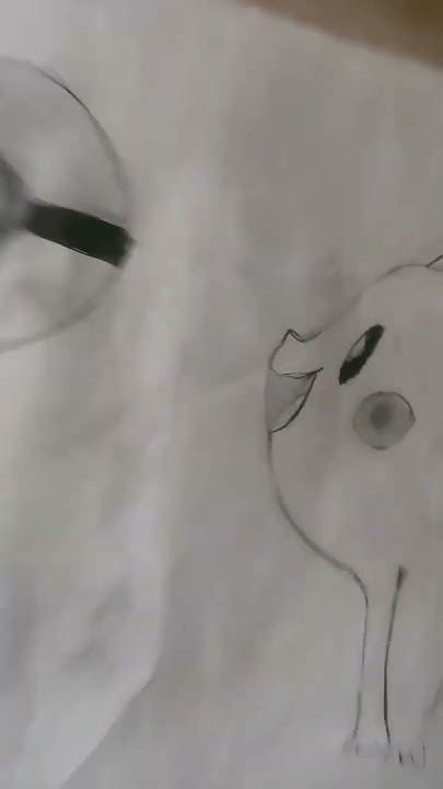 Ash And Pickachu Youtube