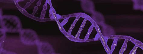 Charcot Marie Tooth Disease Genetic Testing