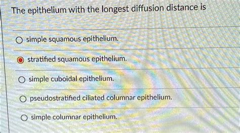 Solved Is This Answer Correct The Epithelium With The Longest Diffusion Distance Is Simple