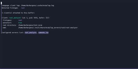 Unable To Cargo Workspace Issue Williamboman Nvim Lsp Installer GitHub