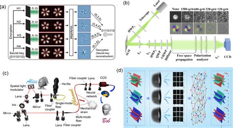 ultra degree of freedom structured light for ultracapacity information