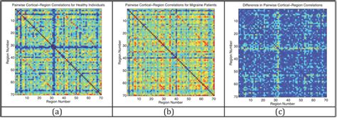 Regional Cortical Thickness Correlations These Matrices Illustrate The Download Scientific