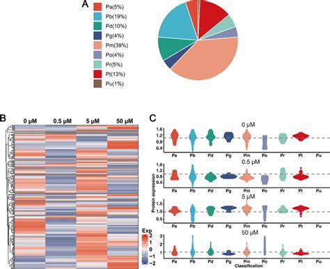 Functional Classification Cluster Analysis And Distribution Density Of Download Scientific