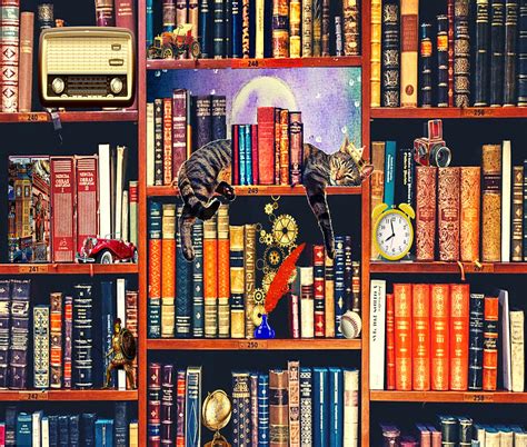 Bookshelf King Cat Library Cats Drawing By Merry Karla Pixels