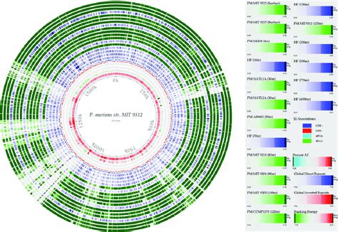 Blastatlas Showing Fully Sequenced Prochlorococcus Genomes Green And