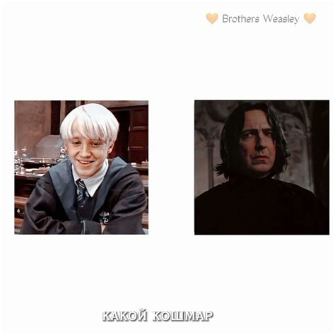 Фред и Джордж Уизли 🧡 видео мое мисс Уизли 🧡 100k Sabscribe Recommended Harrypotter Rek