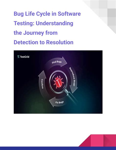 Software Testing Defect Bug Life Cycle Complete Flow Chart Of