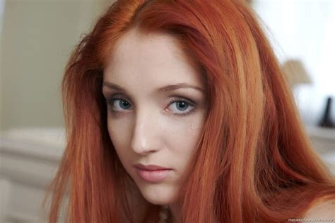 Ред Фокс 67 фото