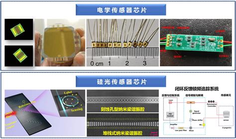 方向四：微流控生物芯片