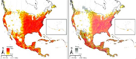 A Prediction Of Bio Climatically Suitable Areas For Dermacentor Download Scientific Diagram