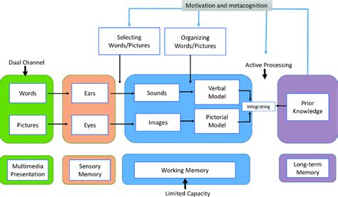 Visual Representation Of The Components Of The Model In The Cognitive Download Scientific