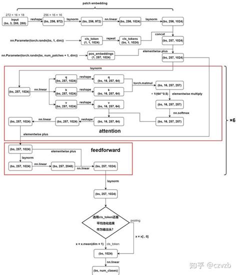 vit数据shape变化流程图 知乎