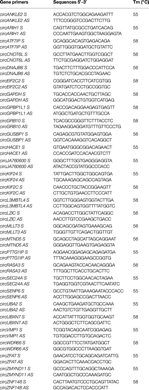 Primer Sequence And Annealing Temperature For Circrnas Download