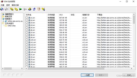 网页中下载多个视频的解决办法 批量下载网页内视频 csdn csdn博客