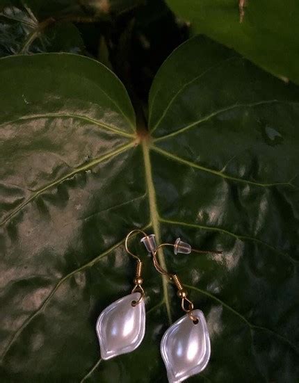 Shell Drop Earrings