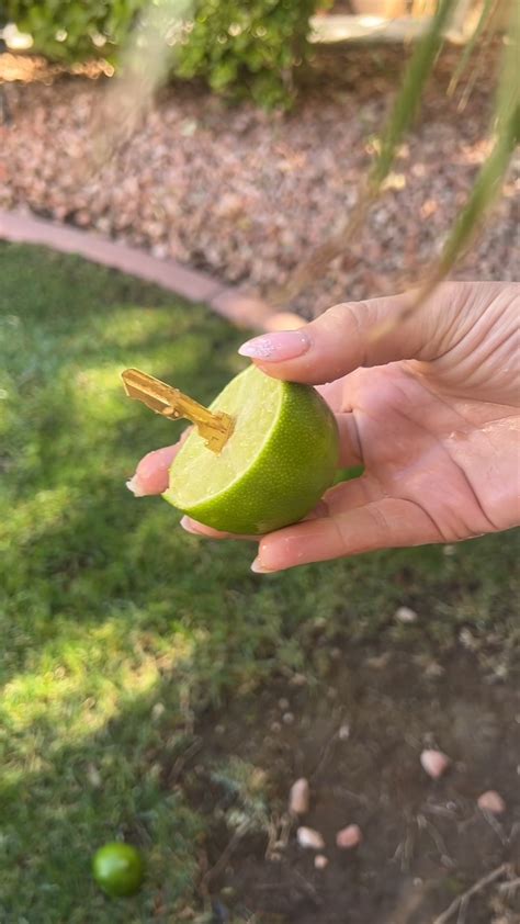 Beautiful Diy Envelope Beautiful Diy Envelope How To Make A Ting