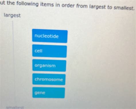 solved ut the following items in order from largest to smallest