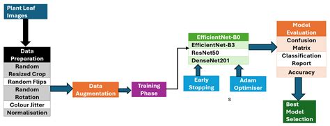 Plant Leaf Disease Detection Using Deep Learning A Multi Dataset Approach