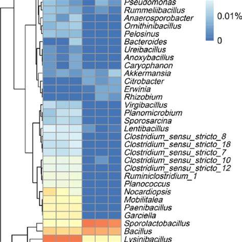 Heatmap For The Relative Abundance Of The Main Microbial Genera Download Scientific Diagram