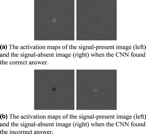 The Activation Map Of The Convolutional Neural Network‐based Model Download Scientific Diagram