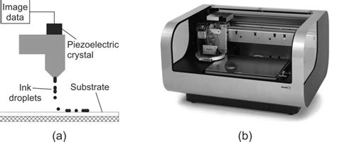 A The Principle Of Piezoelectric Dod Inkjet Printing B A 16 Nozzle Download Scientific