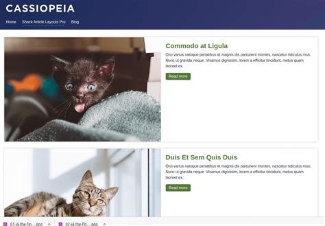 How To Use The Wide Layout In Shack Article Layouts Joomlashack