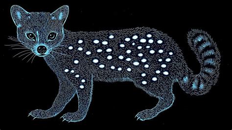 Nocturnal Spotted Civet Artistic Illustration Stock Illustration