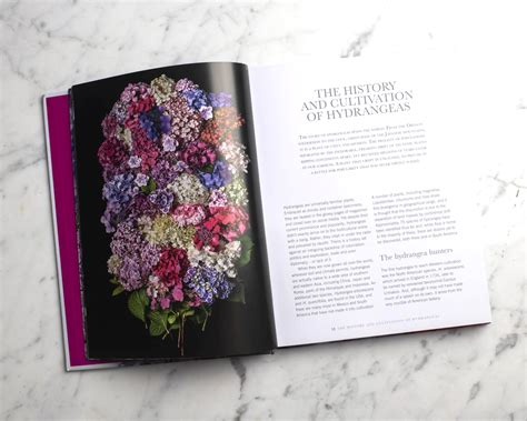 New Book Release Hydrangeas