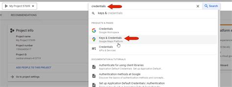How To Setup Your API Key And Import Google Earth D Tiles Mind Sight Studios